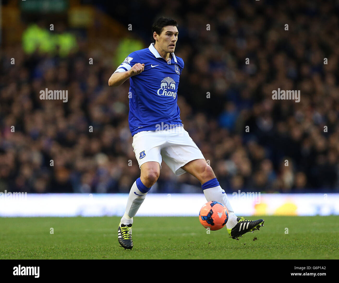 Soccer - FA Cup - Third Round - Everton v Queens Park Rangers ...