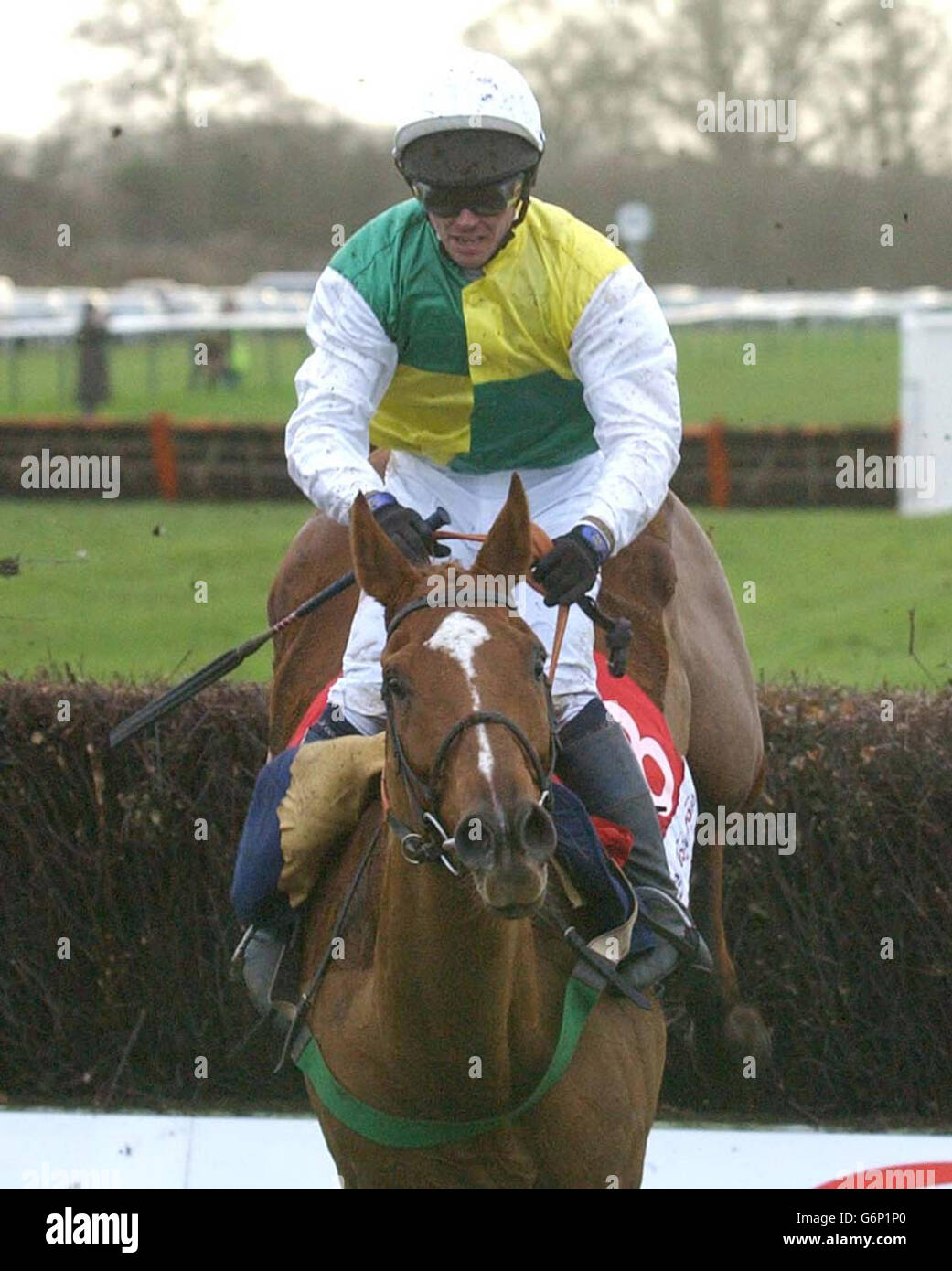GRAHAM LEE RIDING SOUTHERN STAR AT WARWICK Stock Photo - Alamy
