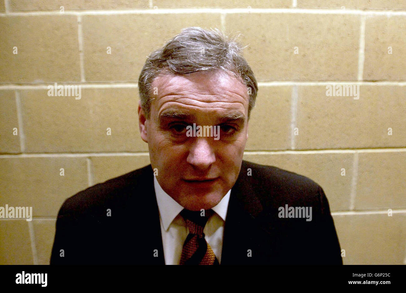 Finding wolves hi-res stock photography and images - Alamy