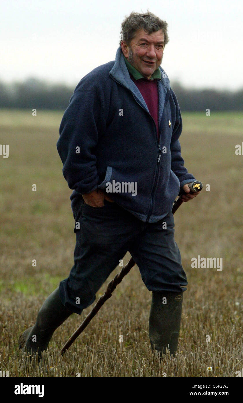 Robin page hi-res stock photography and images - Alamy