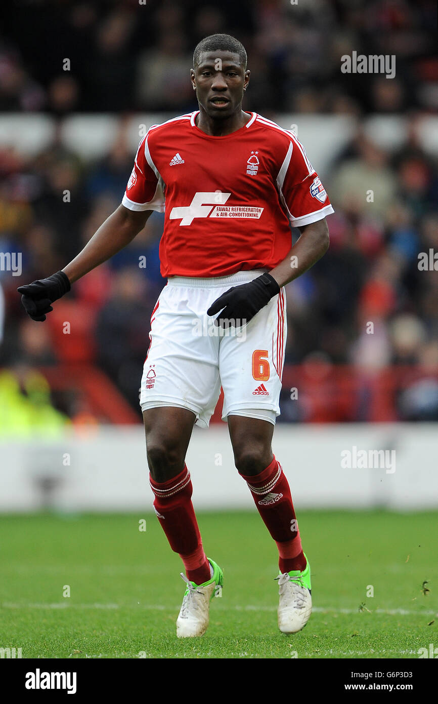 Guy moussi forest hi-res stock photography and images - Alamy