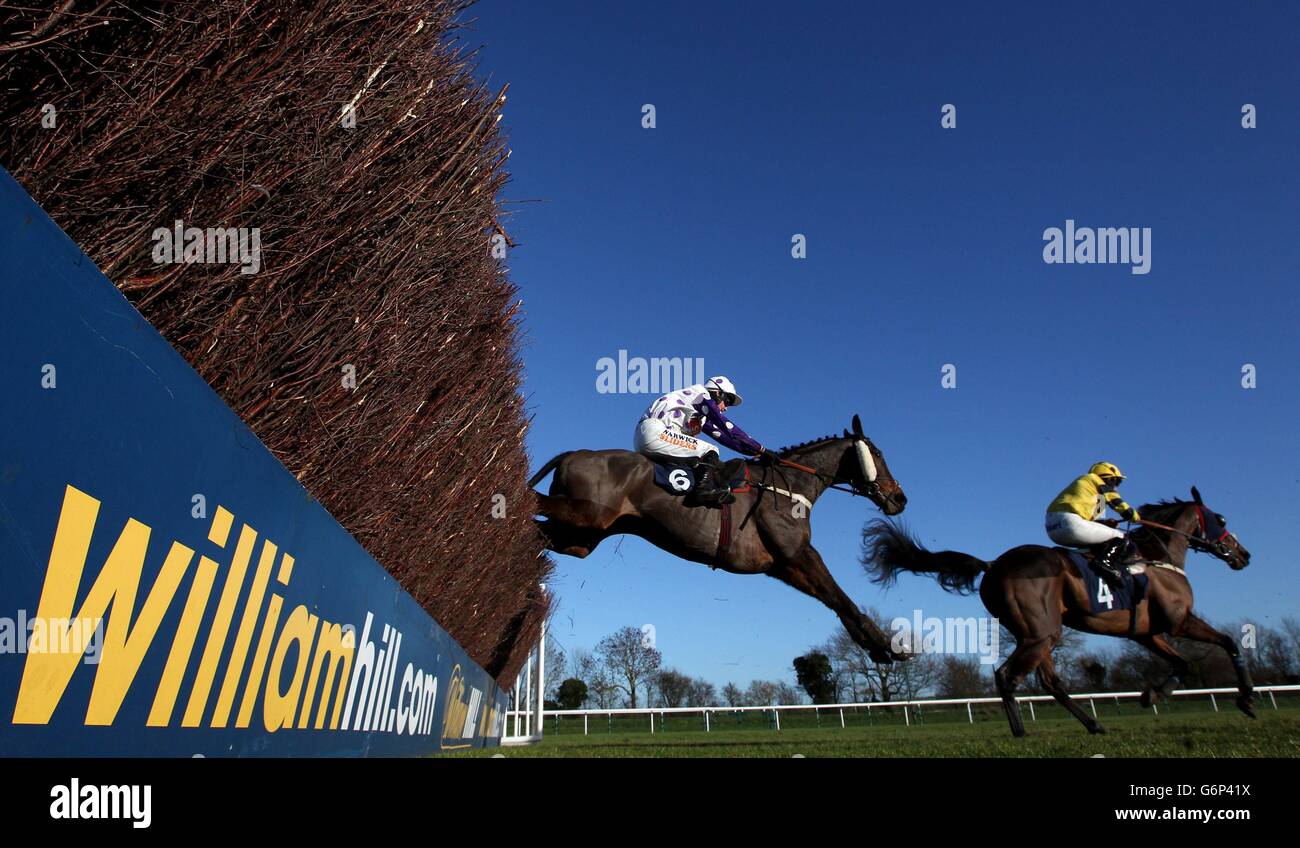 Flemi Two Toes (no 6) ridden by Jack Quinlan comes through to win the ...