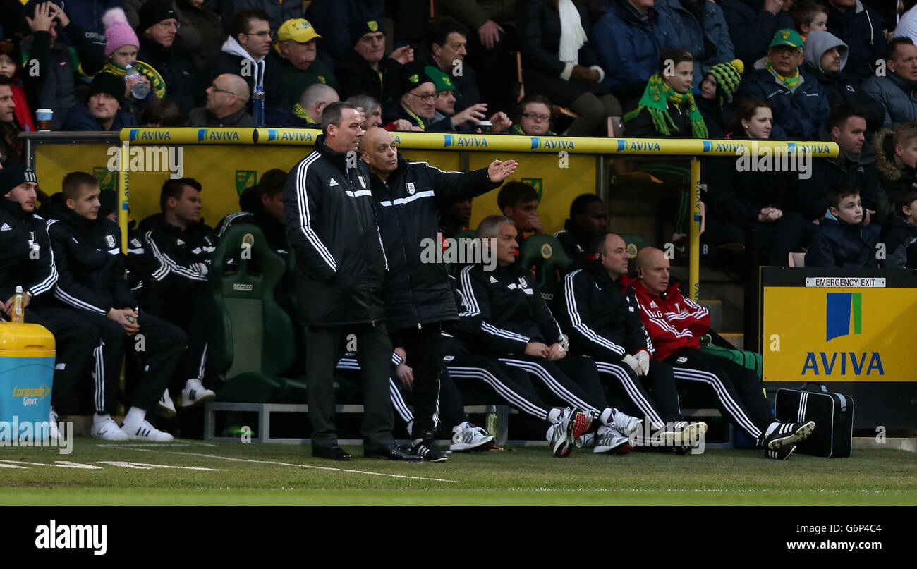 Fulhams manager rene meulensteen hi-res stock photography and images ...