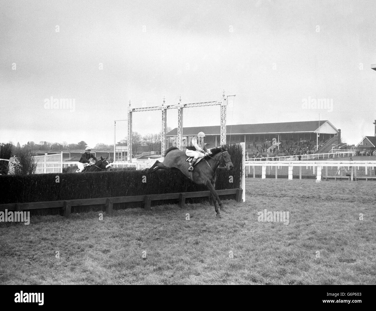 Horse Racing - Home Park Novices' Steeple Chase - Ascot Stock Photo - Alamy