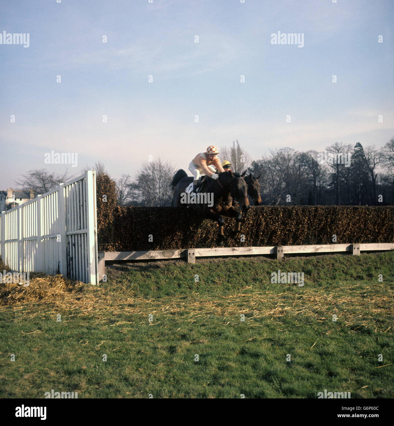 Fearless fred hi-res stock photography and images - Alamy