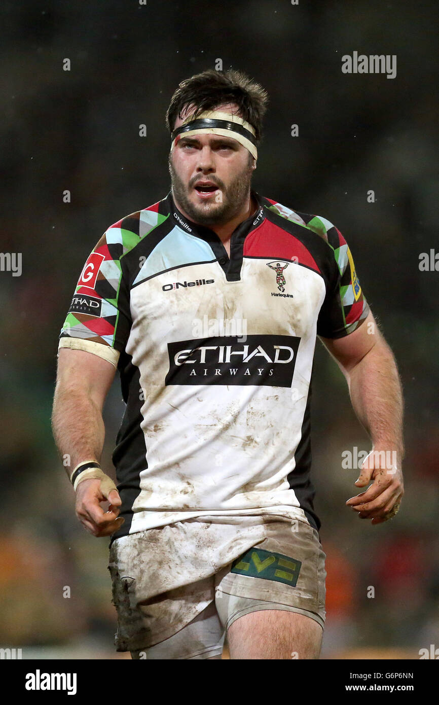 Will collier harlequins hi-res stock photography and images - Alamy