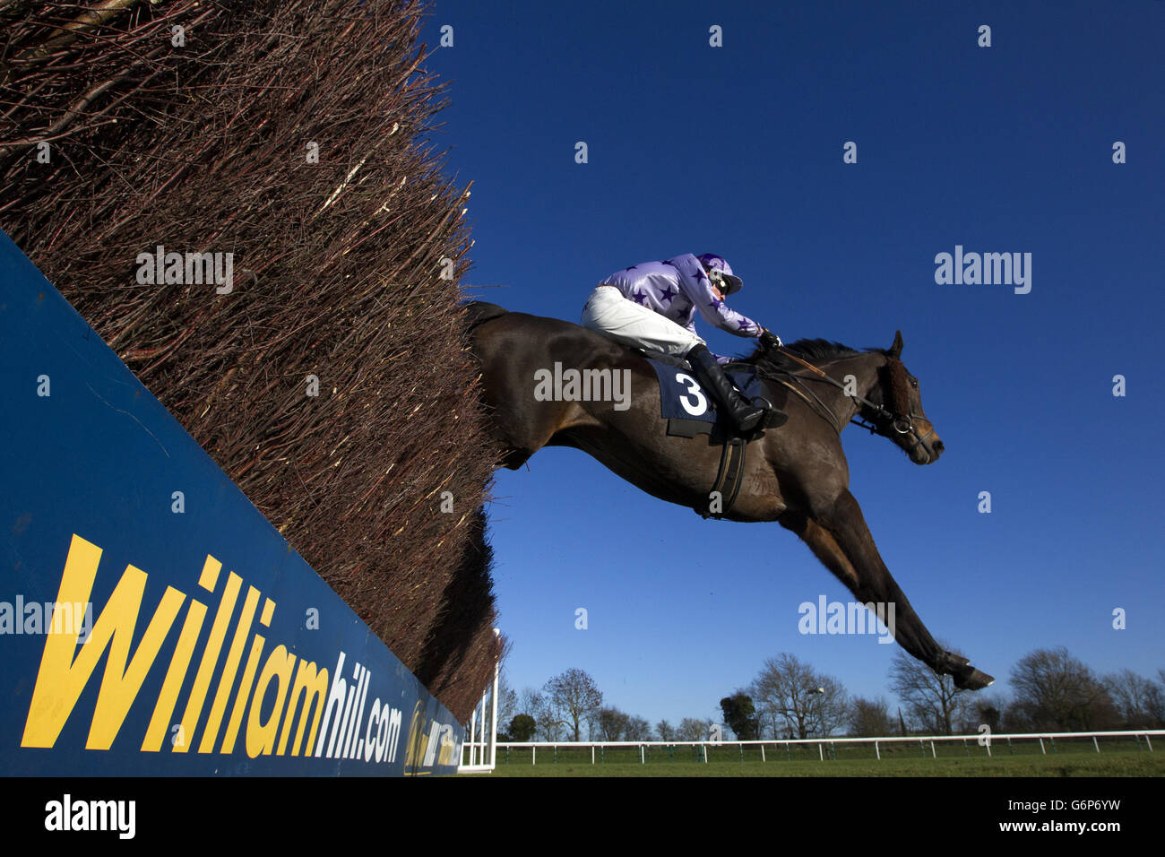 Noble jump hi-res stock photography and images - Alamy