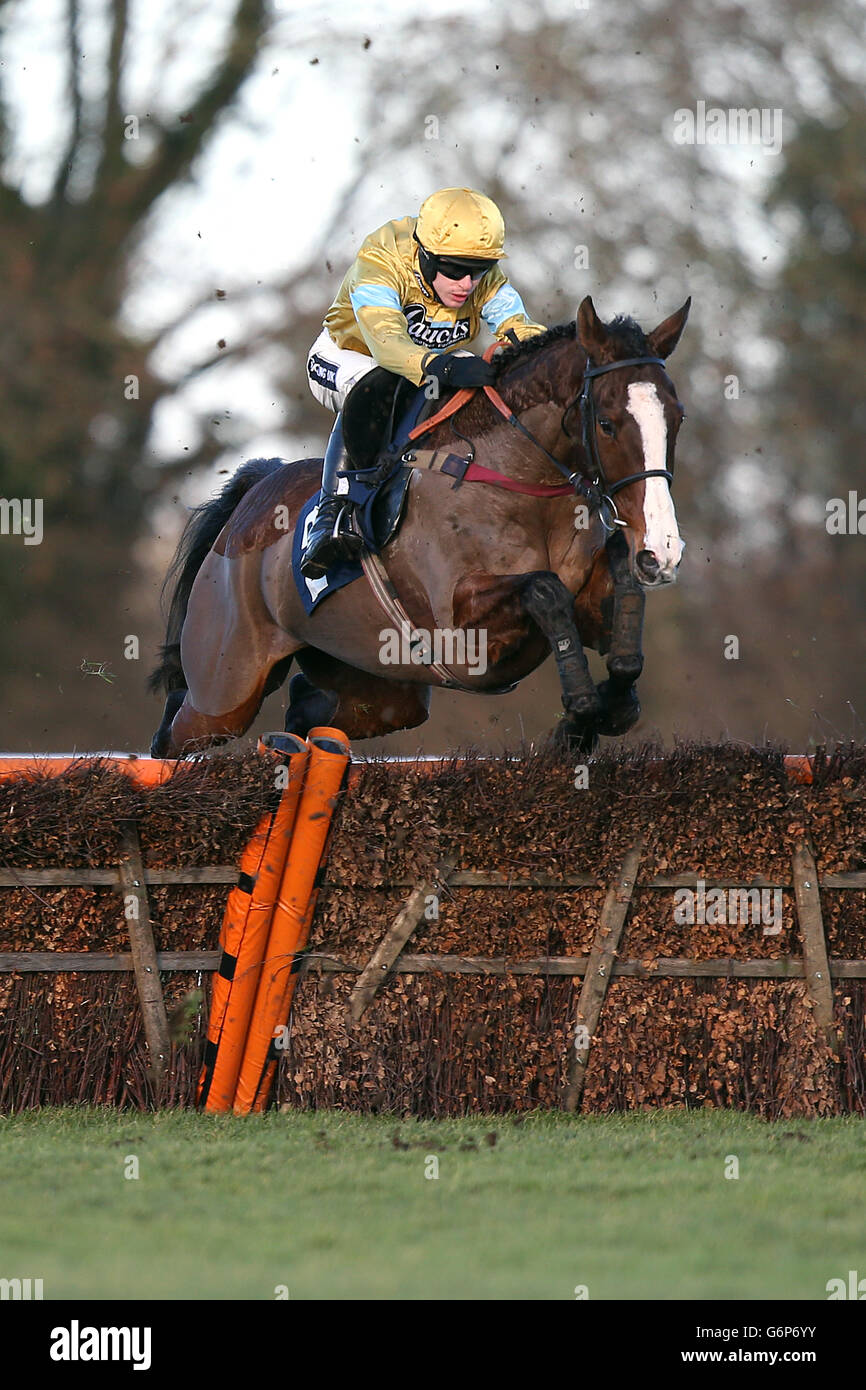 Horse Racing - Huntingdon Racecourse Stock Photo - Alamy