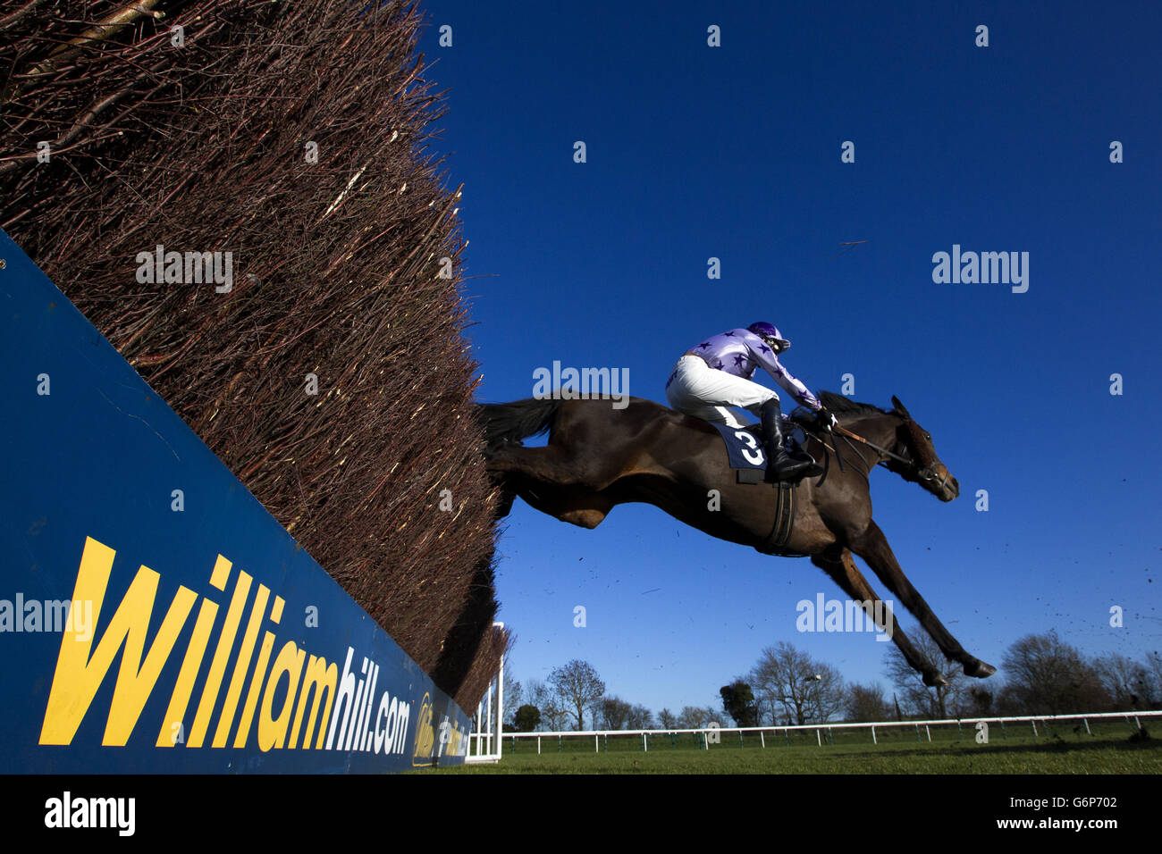 Pogson hi-res stock photography and images - Alamy