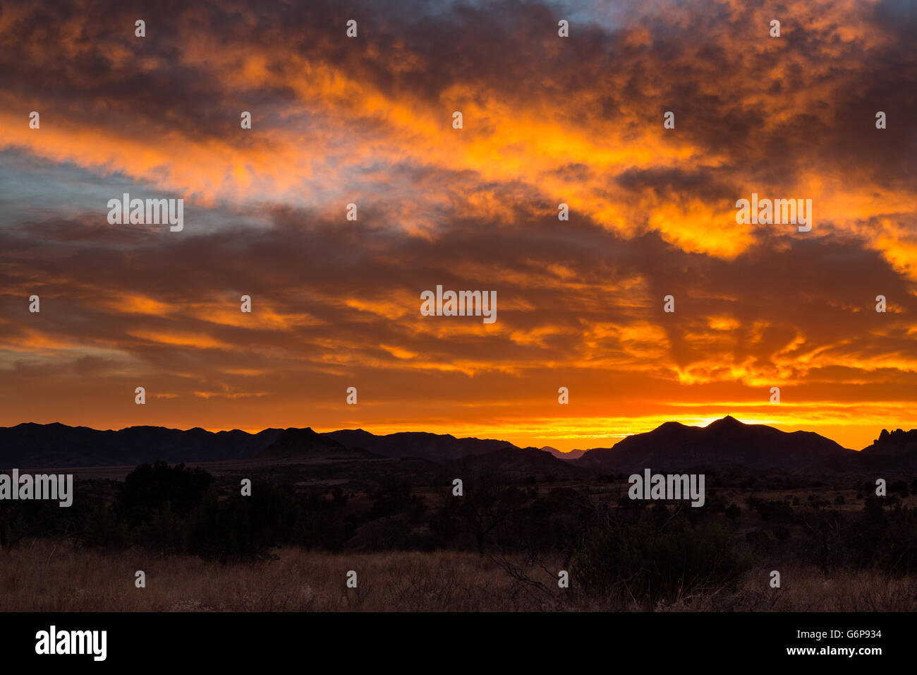 Sunset creating a colorful landscape above the high desert grasslands ...