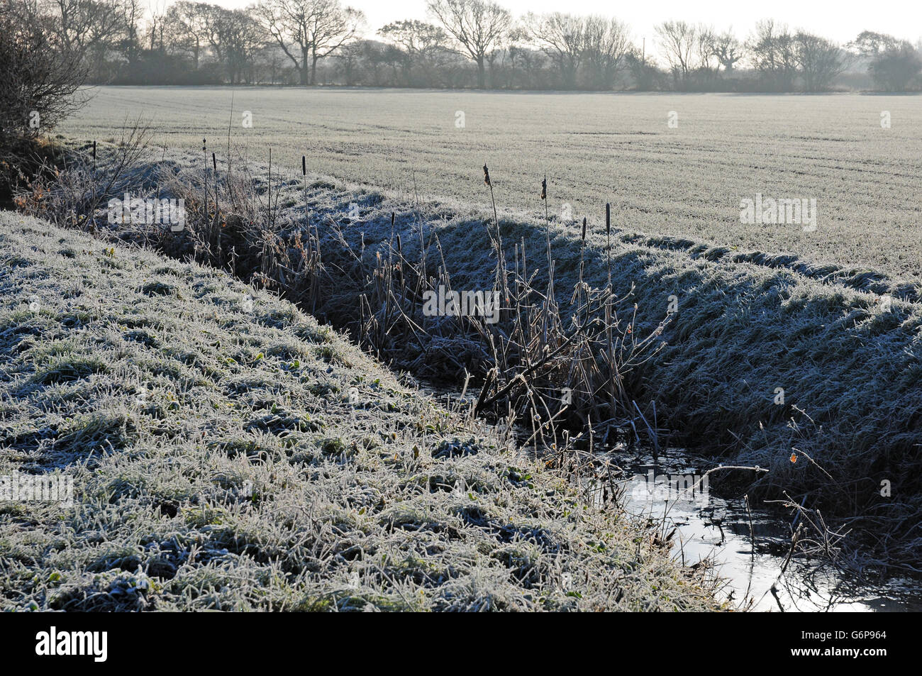 Frosty morning. Drainage ditch on the Coastal Plain Stock Photo - Alamy