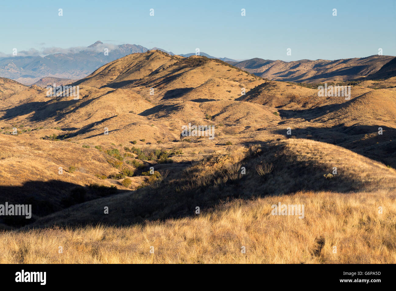 The Santa Rita Mountains above the grasslands of the Canelo Hills ...