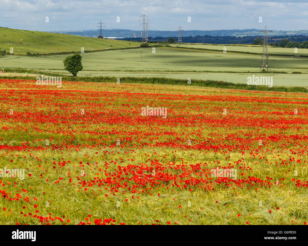 Ashfield, nottinghamshire hi-res stock photography and images - Alamy