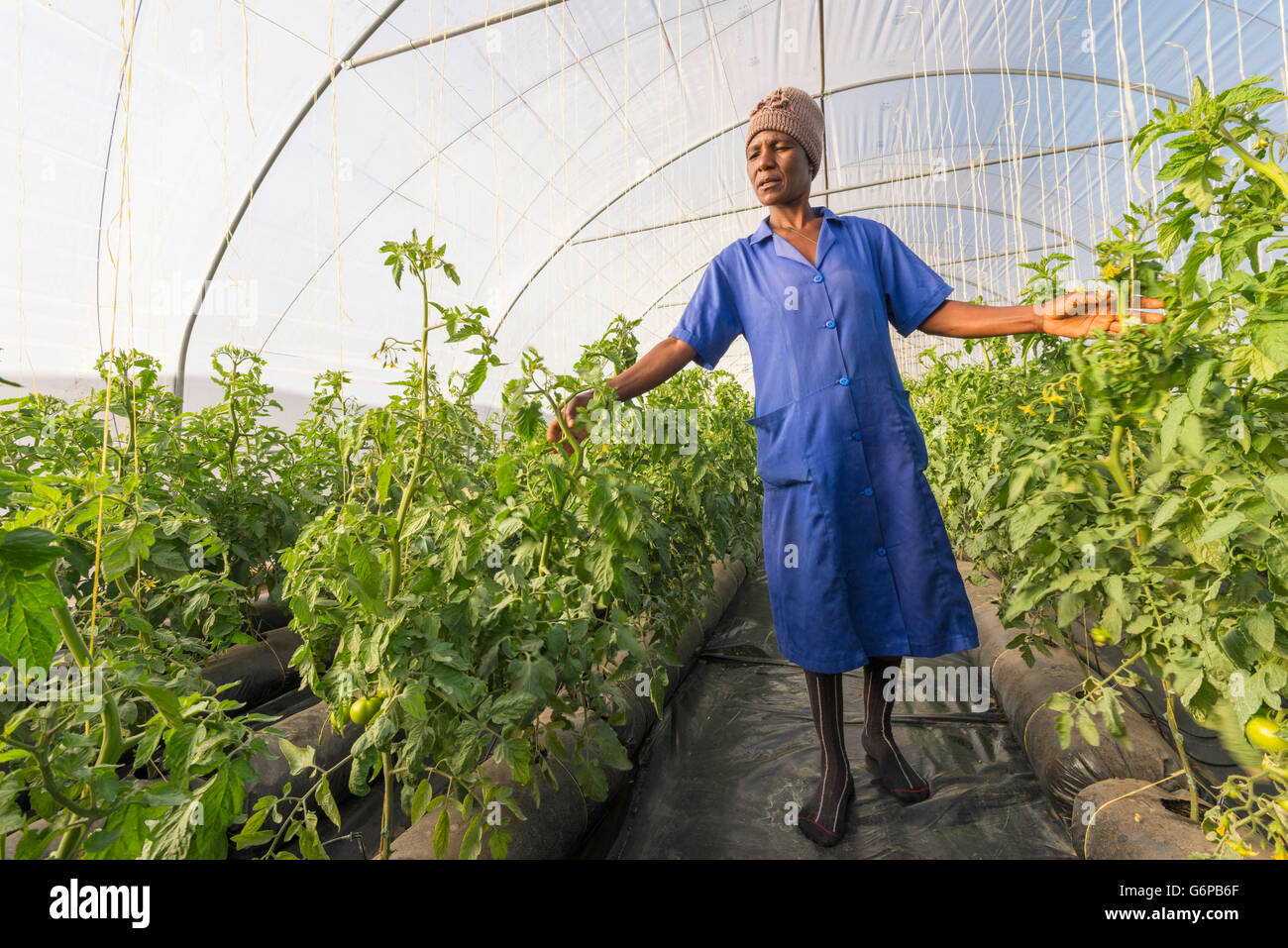African woman farm labour hi-res stock photography and images - Alamy