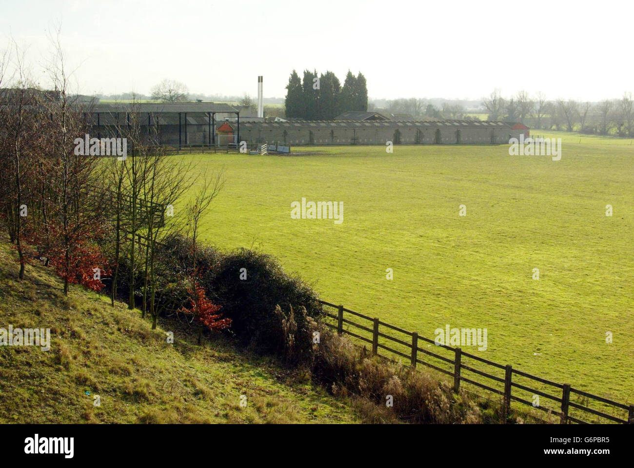 Professor colin blakemore hi-res stock photography and images - Alamy