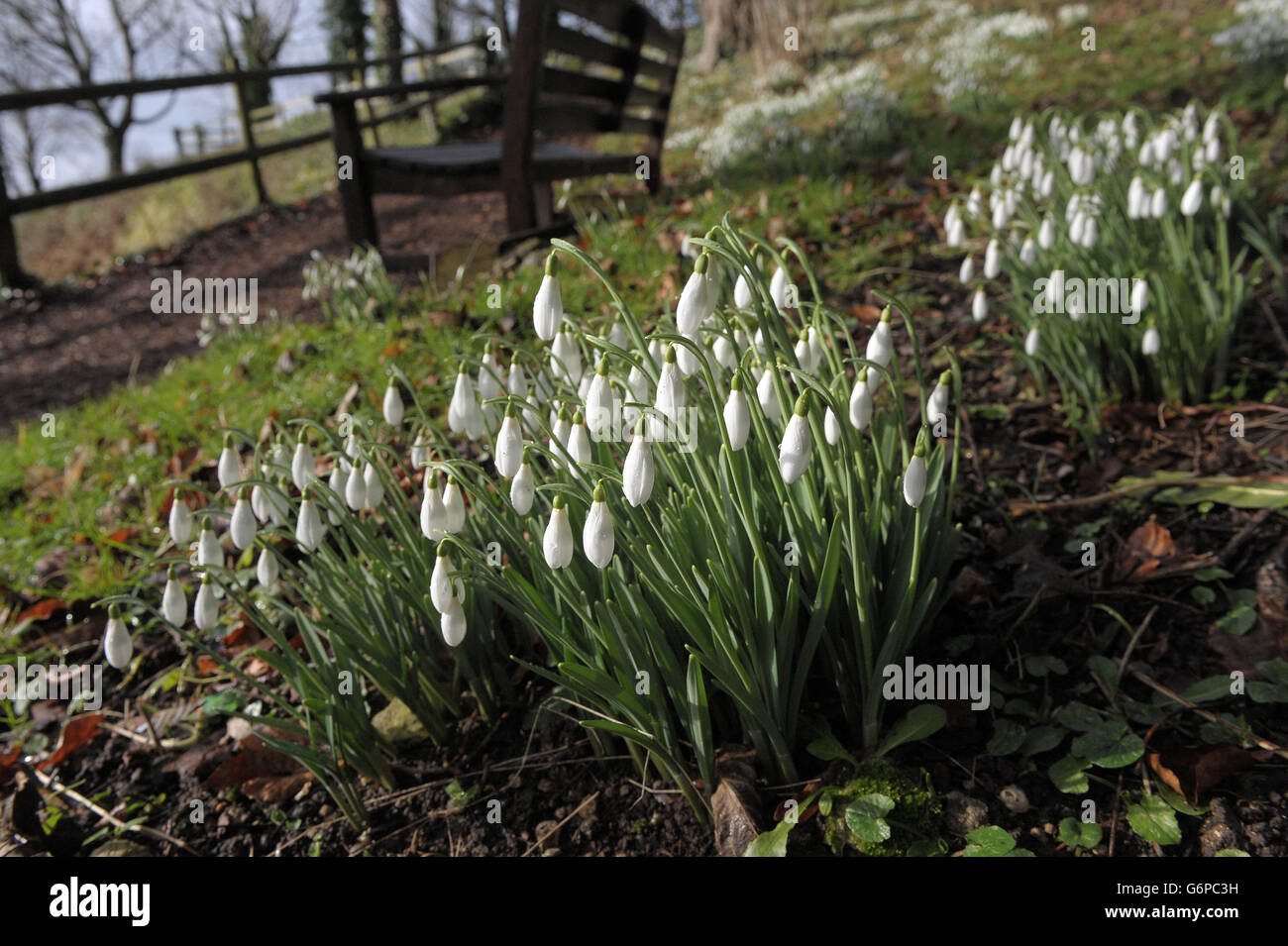 Winter weather January 20th Stock Photo - Alamy