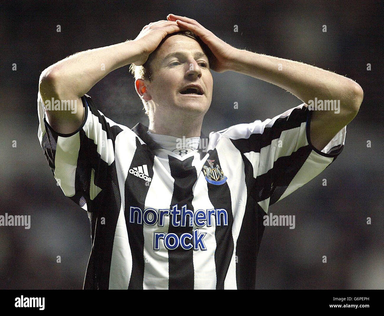 Newcastle's new signing Michael Bridges after missing a sitter against ...