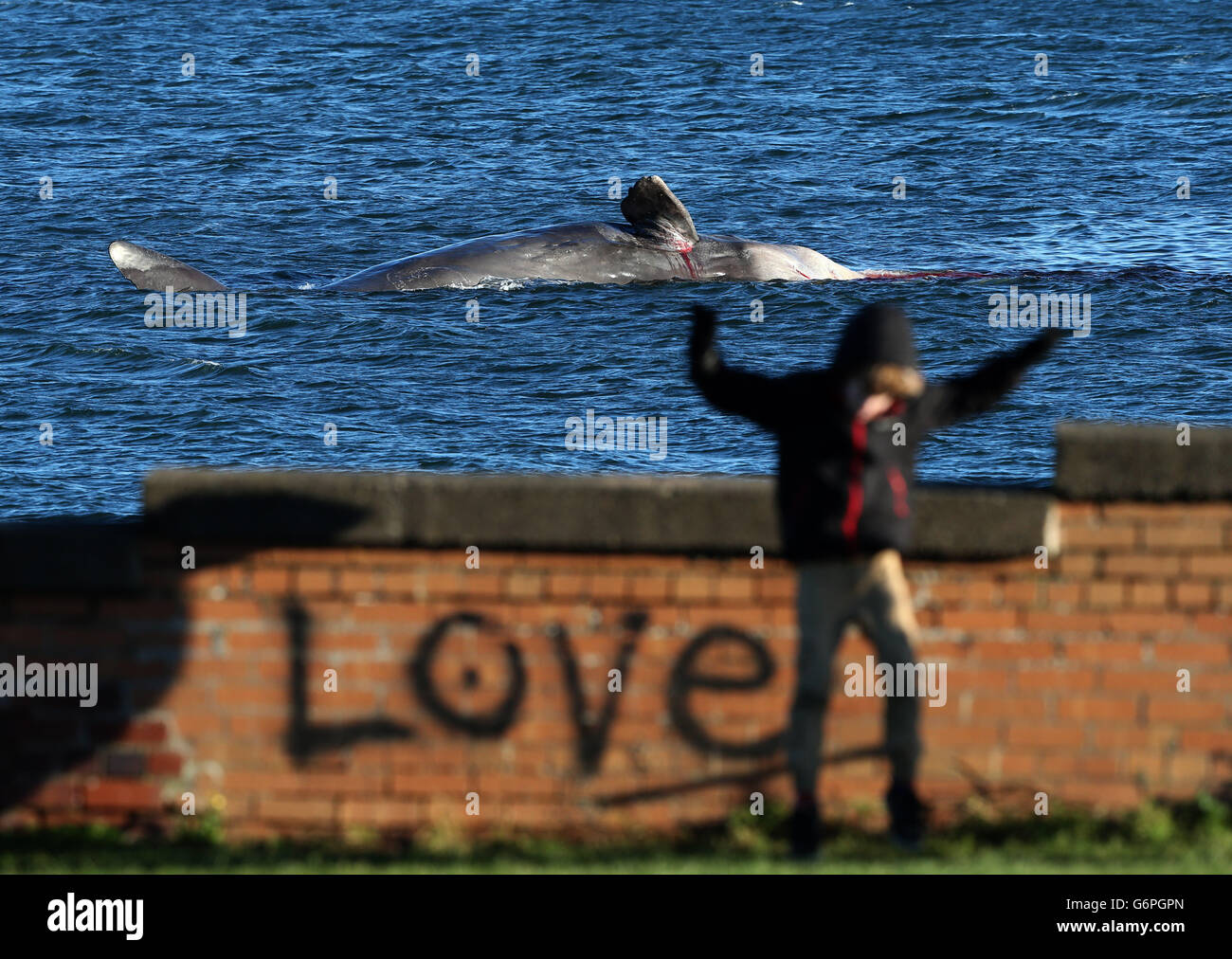 Portobello joppa beach edinburgh scotland hi-res stock photography and ...