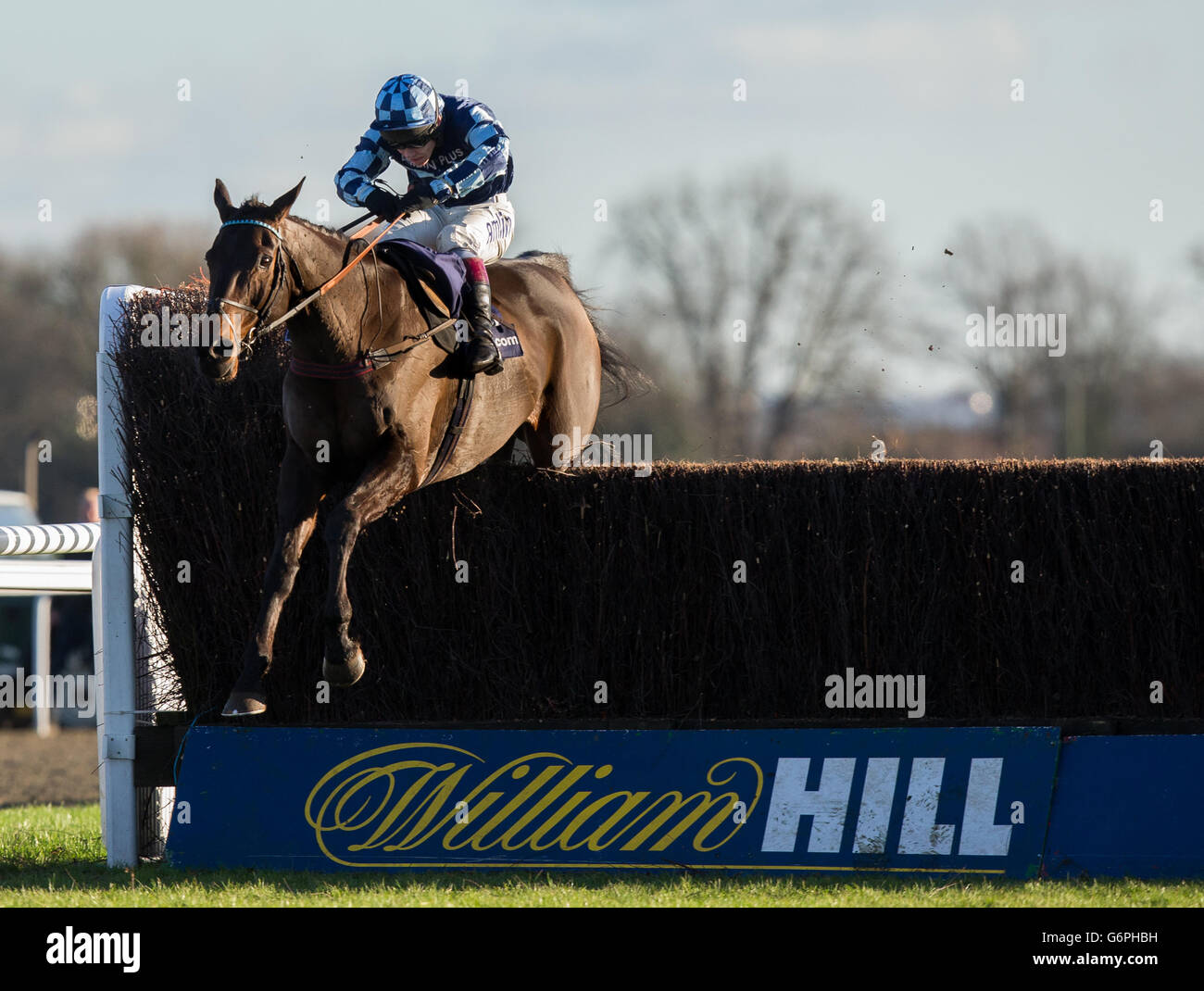 Captain chris horse hi-res stock photography and images - Alamy