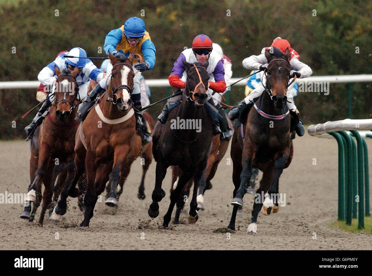 Love lingfield hi-res stock photography and images - Alamy