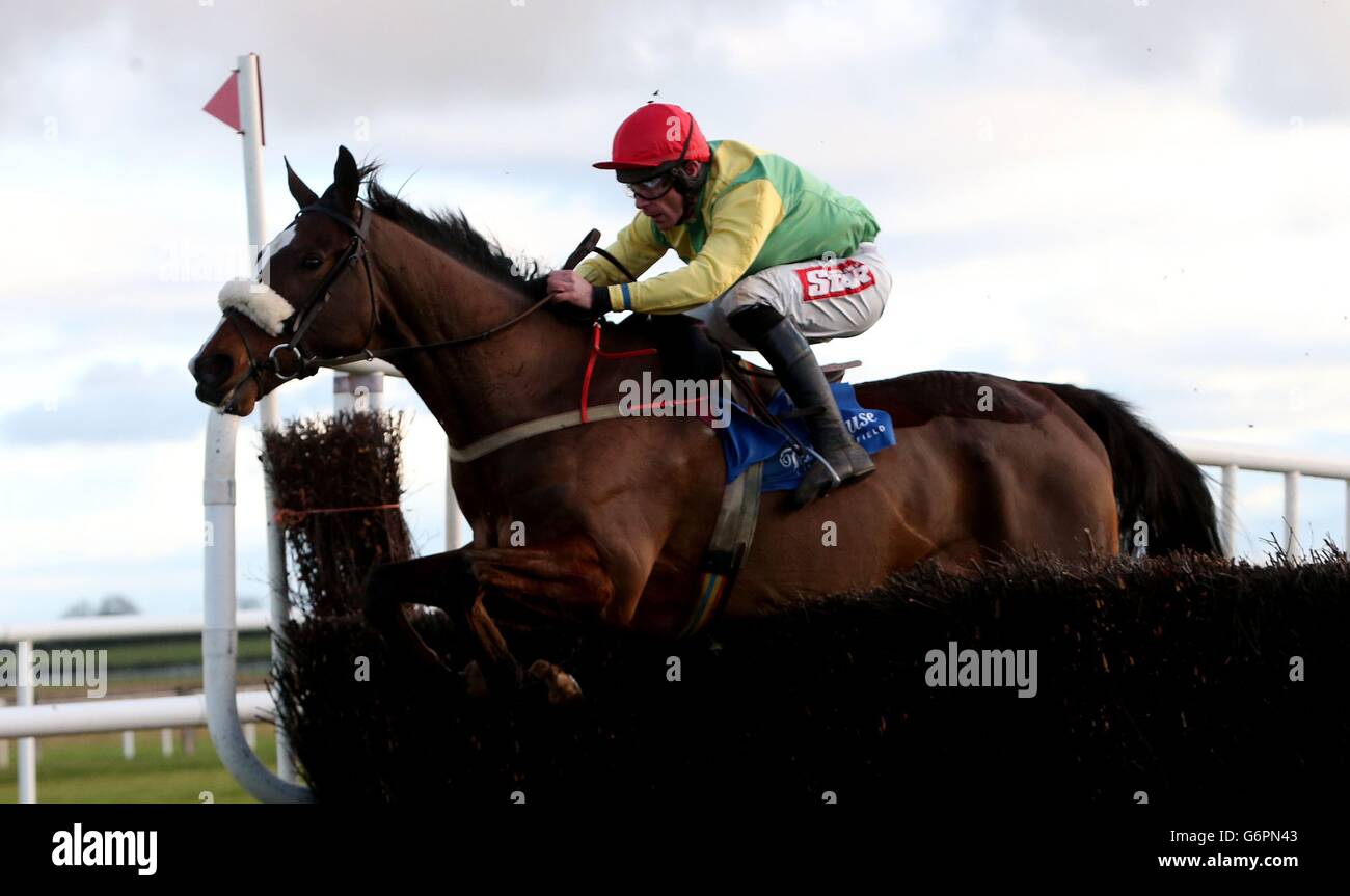 Horse Racing - Fairyhouse Racecourse Stock Photo - Alamy