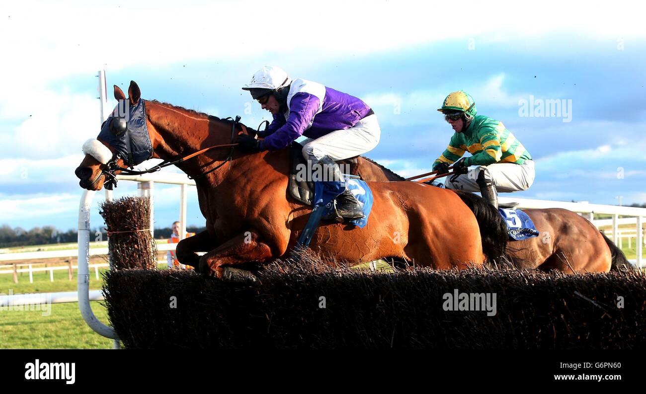 Racing fairyhouse hi-res stock photography and images - Alamy