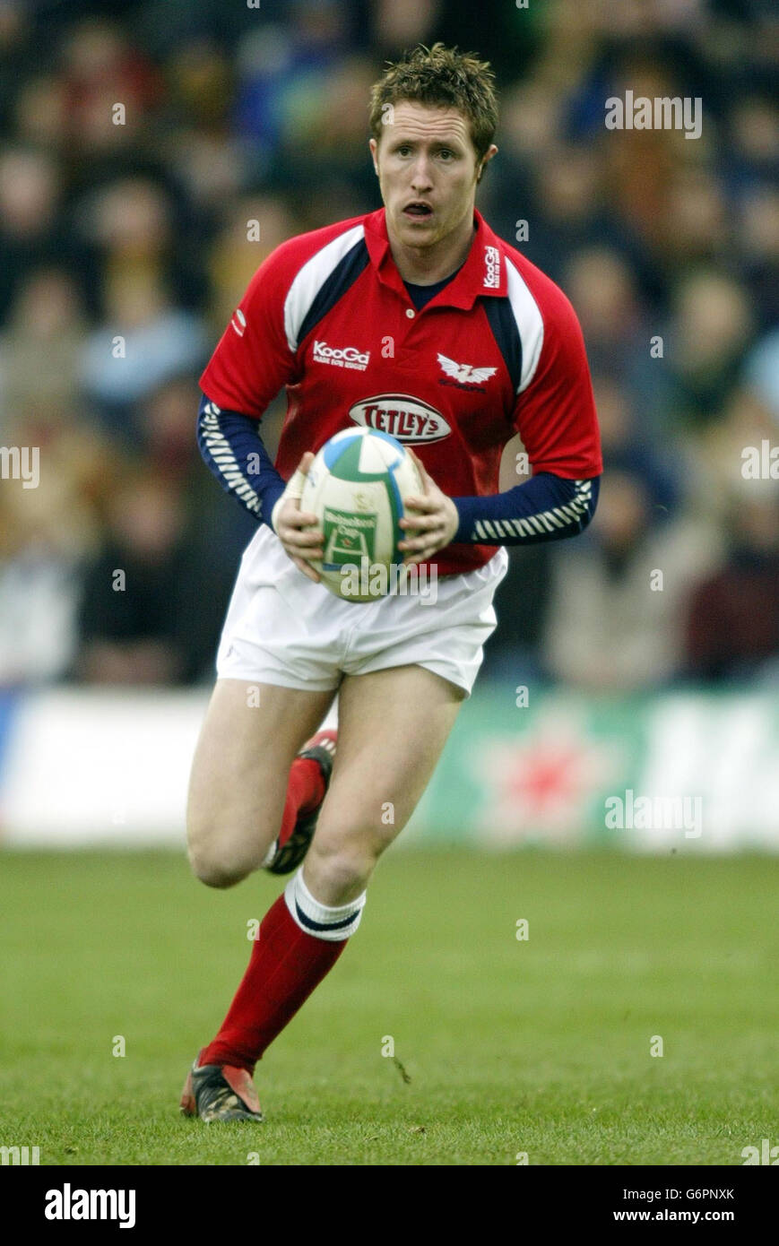 Llanelli's Barry Davies in action against Northampton in the Heineken ...