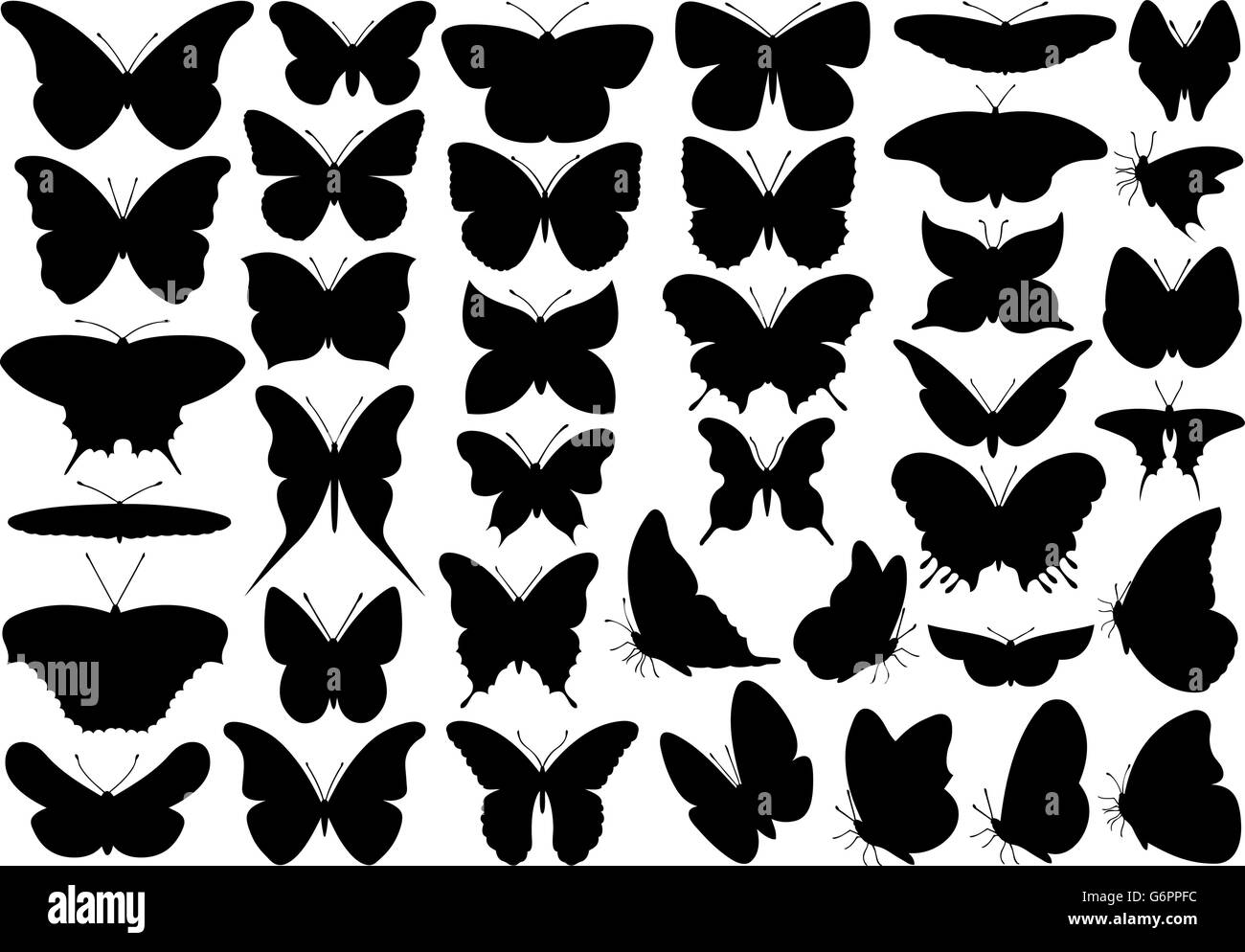 Butterfly with different shapes Stock Vector Images - Alamy