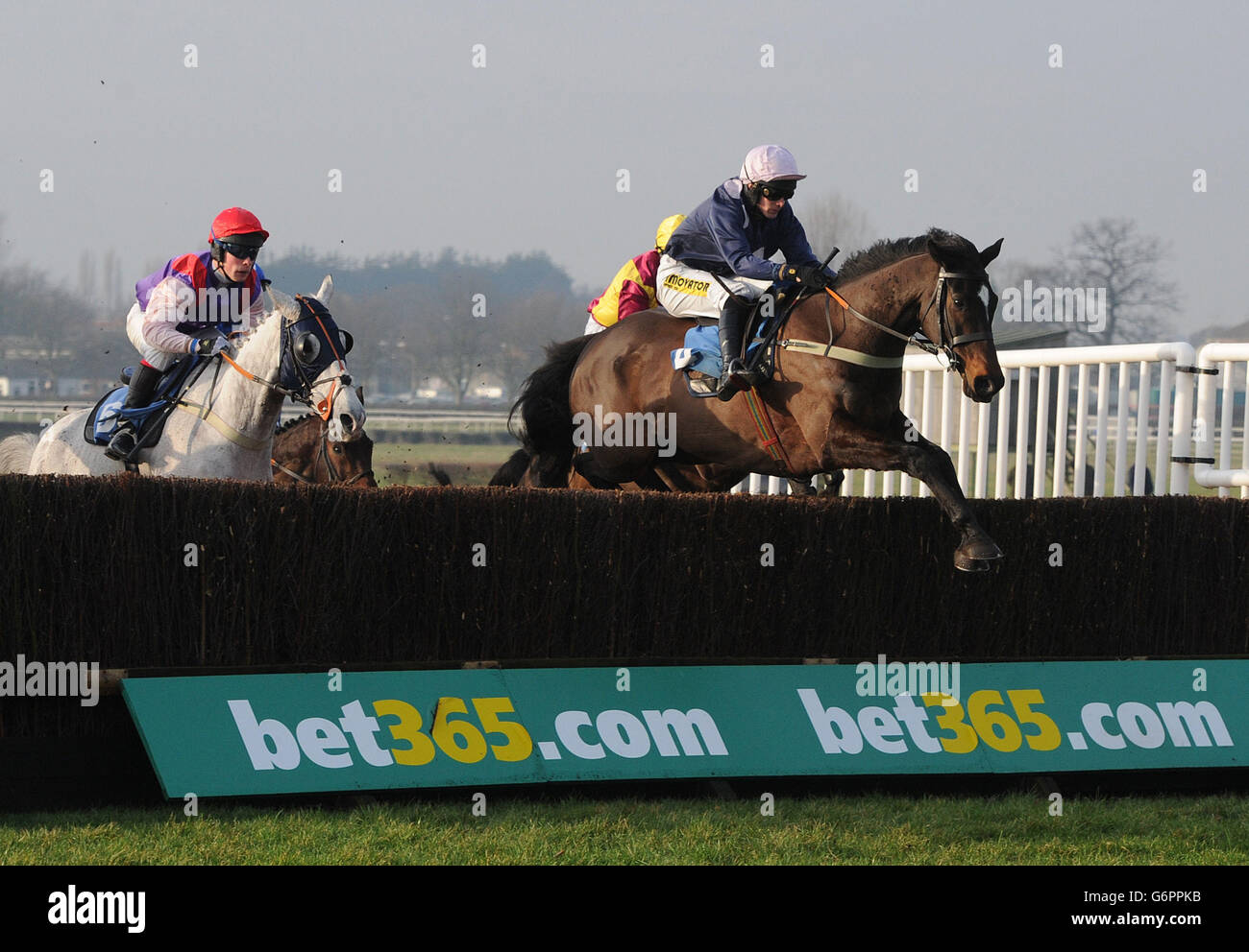 Horse Racing - Wetherby Racecourse Stock Photo - Alamy