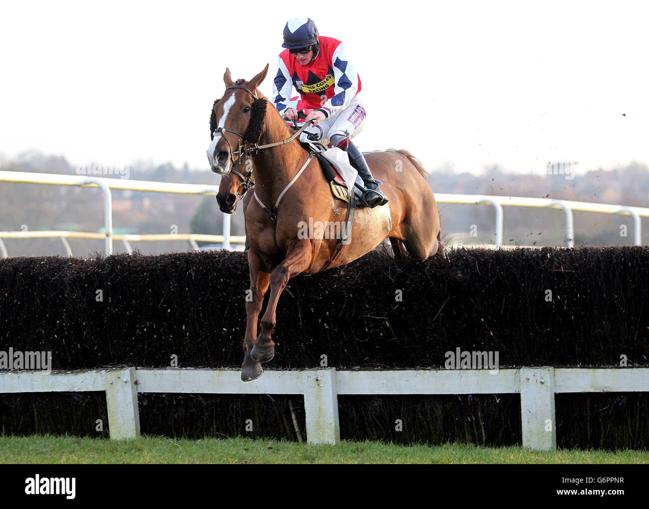 Horse Racing - Leicester Racecourse Stock Photo - Alamy