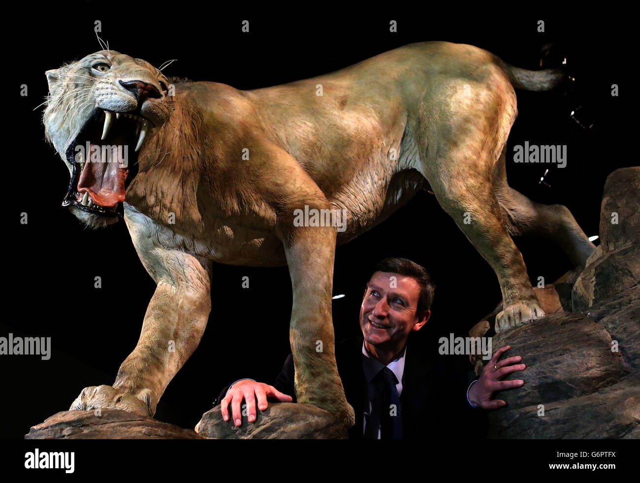 Curator Andrew Kitchener from Edinburgh, looks at a Sabre tooth cat ...