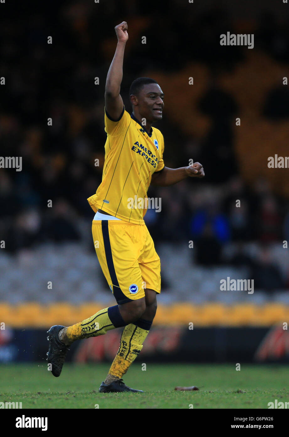 Brighton & Hove Albion's Rohan Ince celebrates scoring the opening goal ...