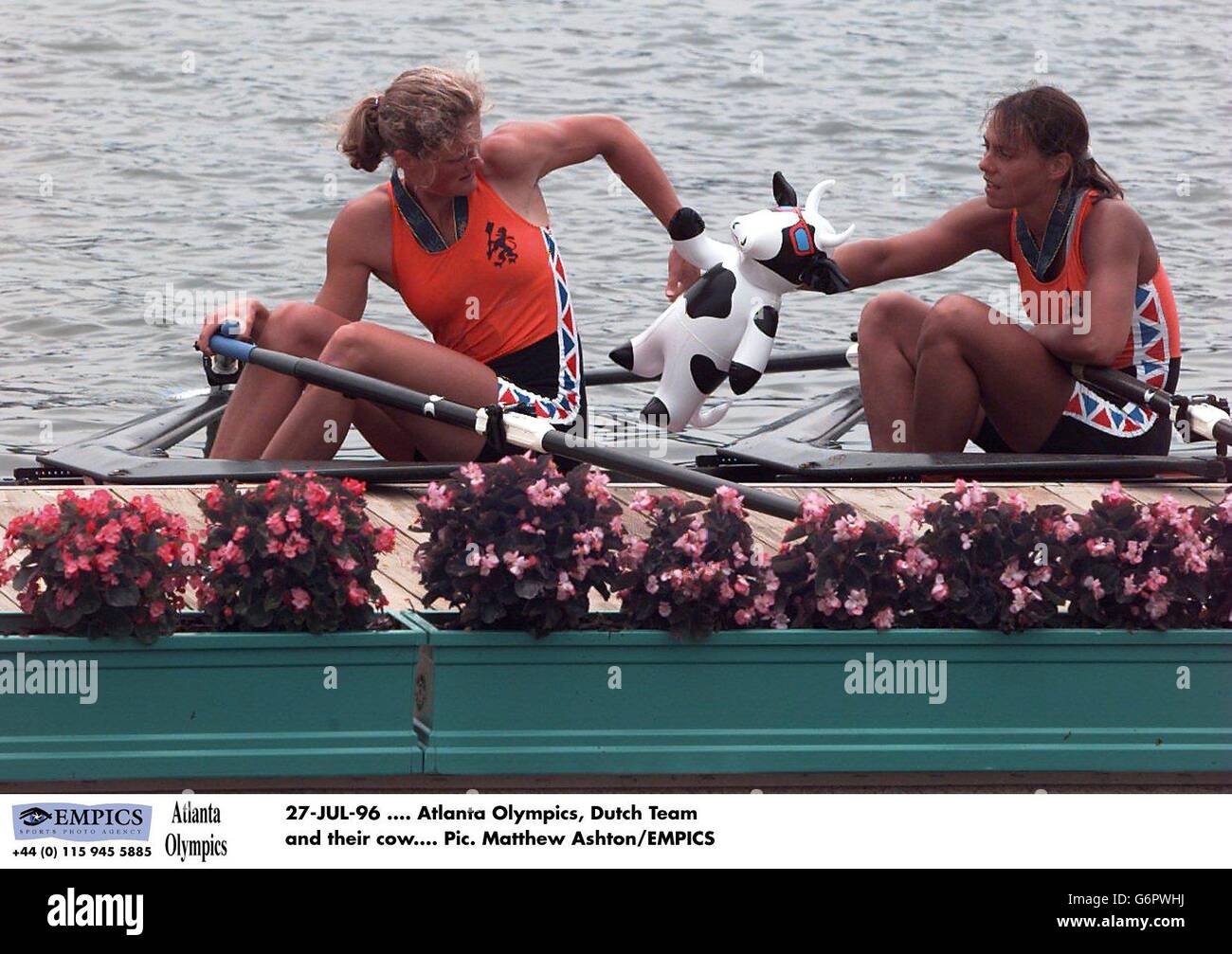 Reeke van nes and their cow hi-res stock photography and images - Alamy