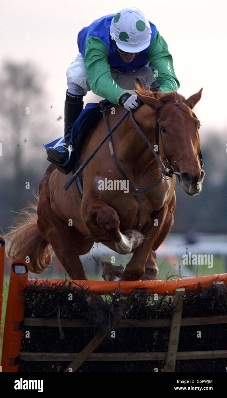 Control Man Fontwell Races Stock Photo - Alamy
