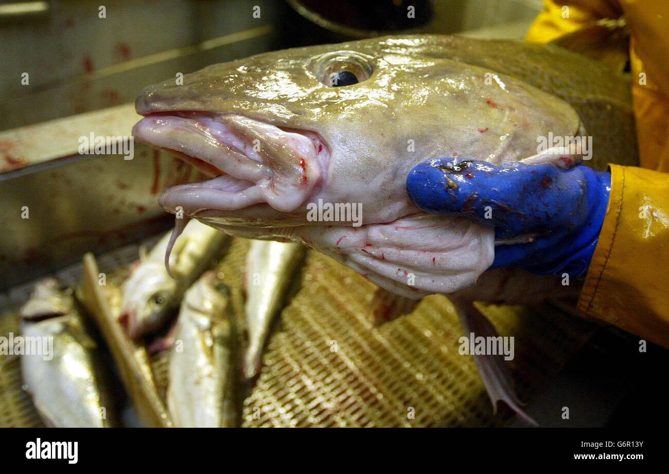 Scottish fishing hi-res stock photography and images - Alamy
