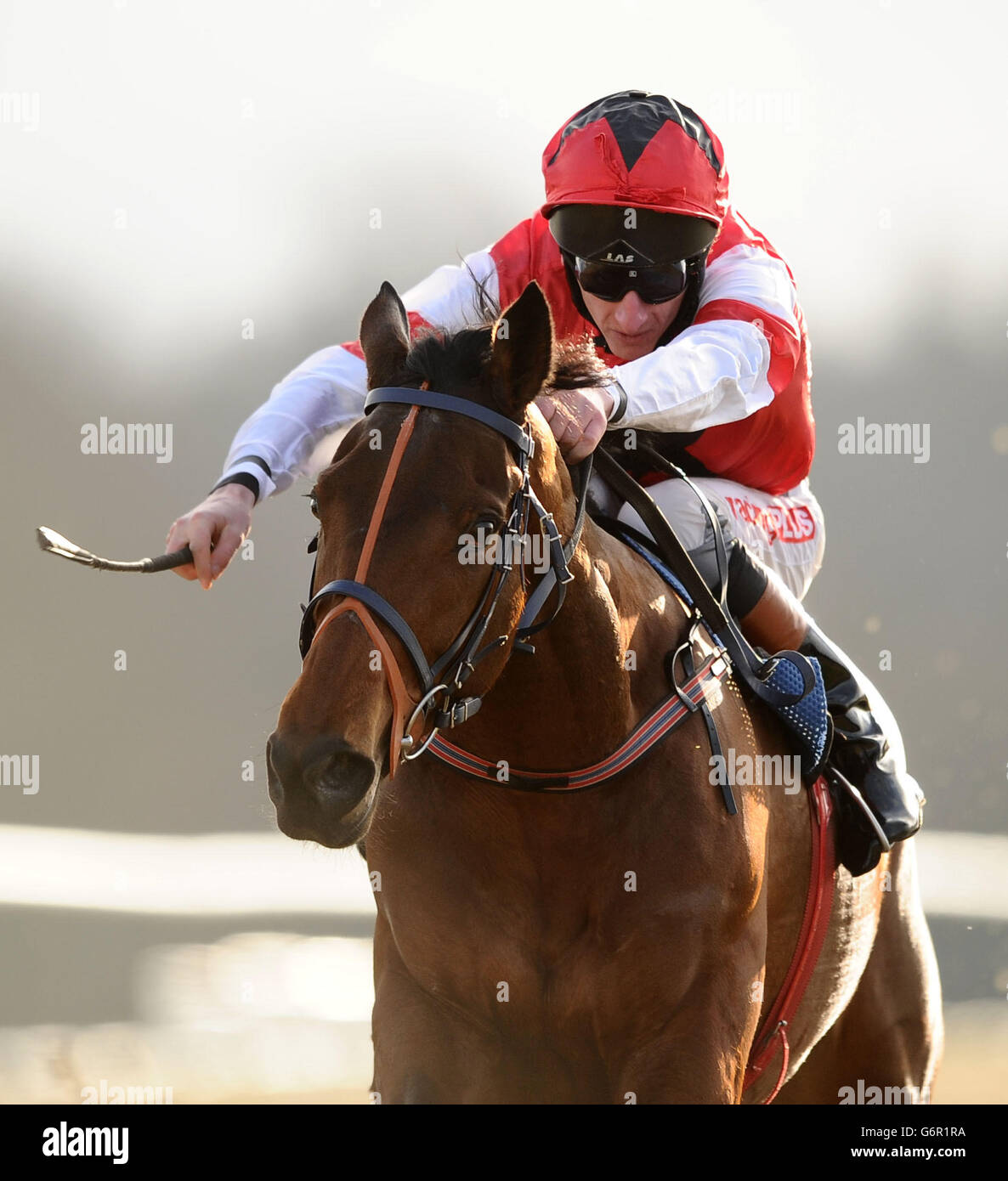 Horse Racing - Lingfield Park Racecourse Stock Photo - Alamy