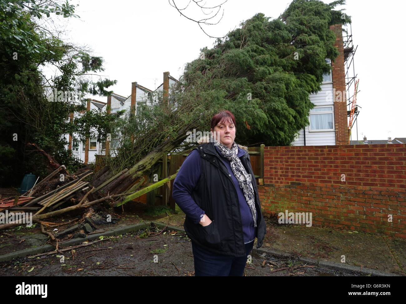 Toppled tree hi-res stock photography and images - Alamy