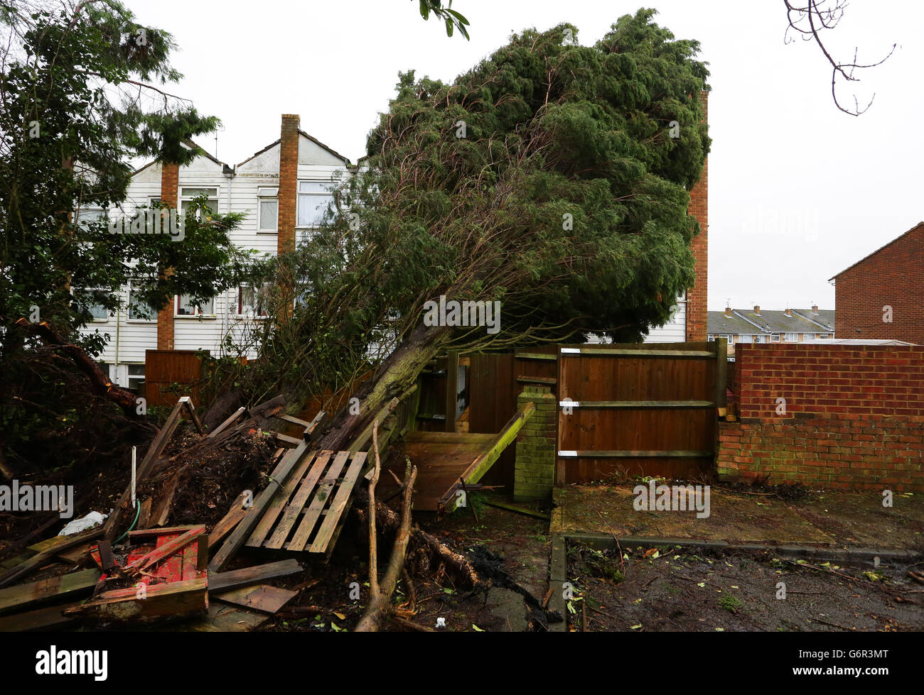 Leylandii house hi-res stock photography and images - Alamy