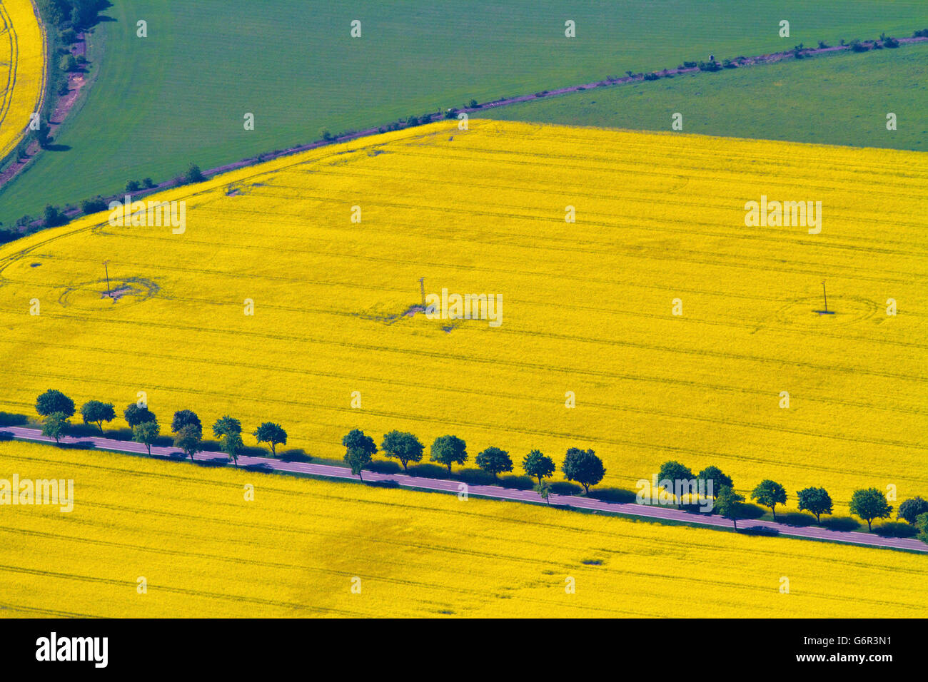 Rapesee hi-res stock photography and images - Alamy