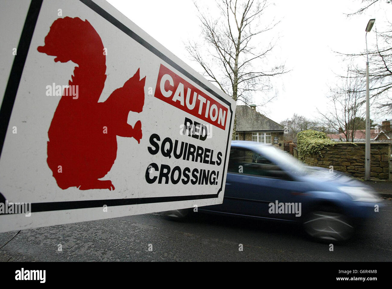 Signs designed to save squirrels Stock Photo - Alamy