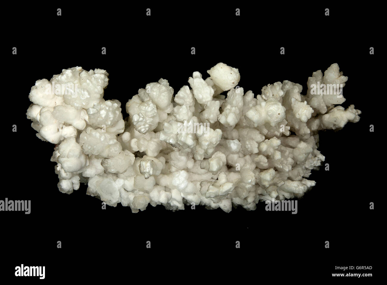 Core sample coral hi-res stock photography and images - Alamy