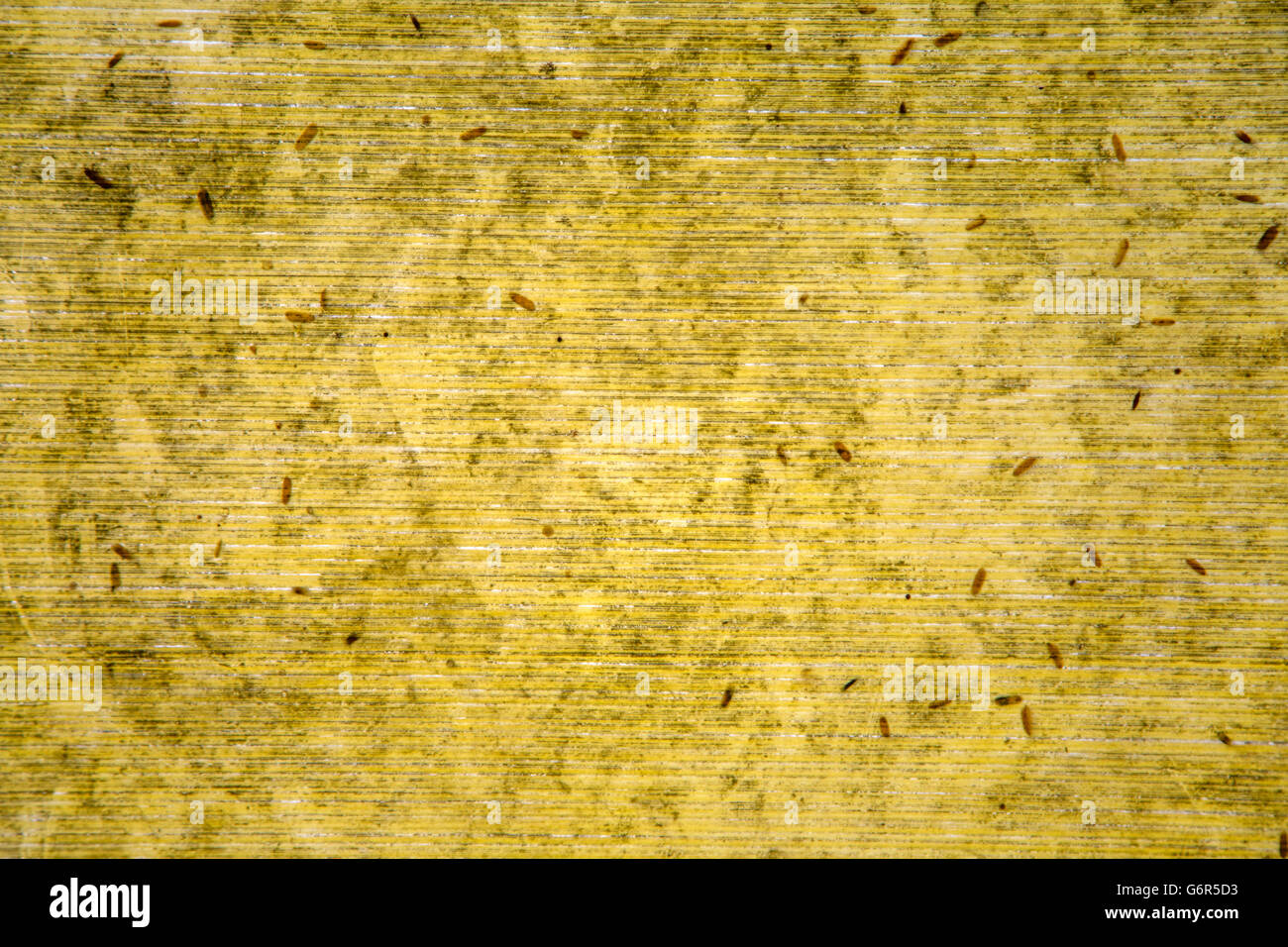 Close up view at stone texture Stock Photo - Alamy