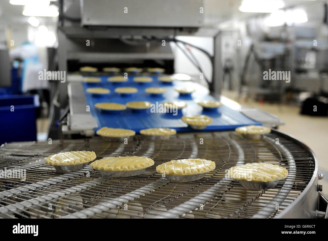 Freshly made meat pies travel along a conveyor belt ready to be packed ...