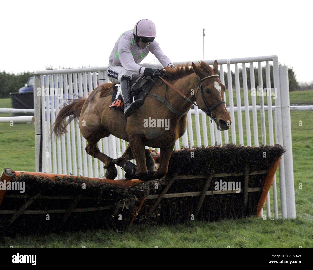 Annie power horse hi-res stock photography and images - Alamy