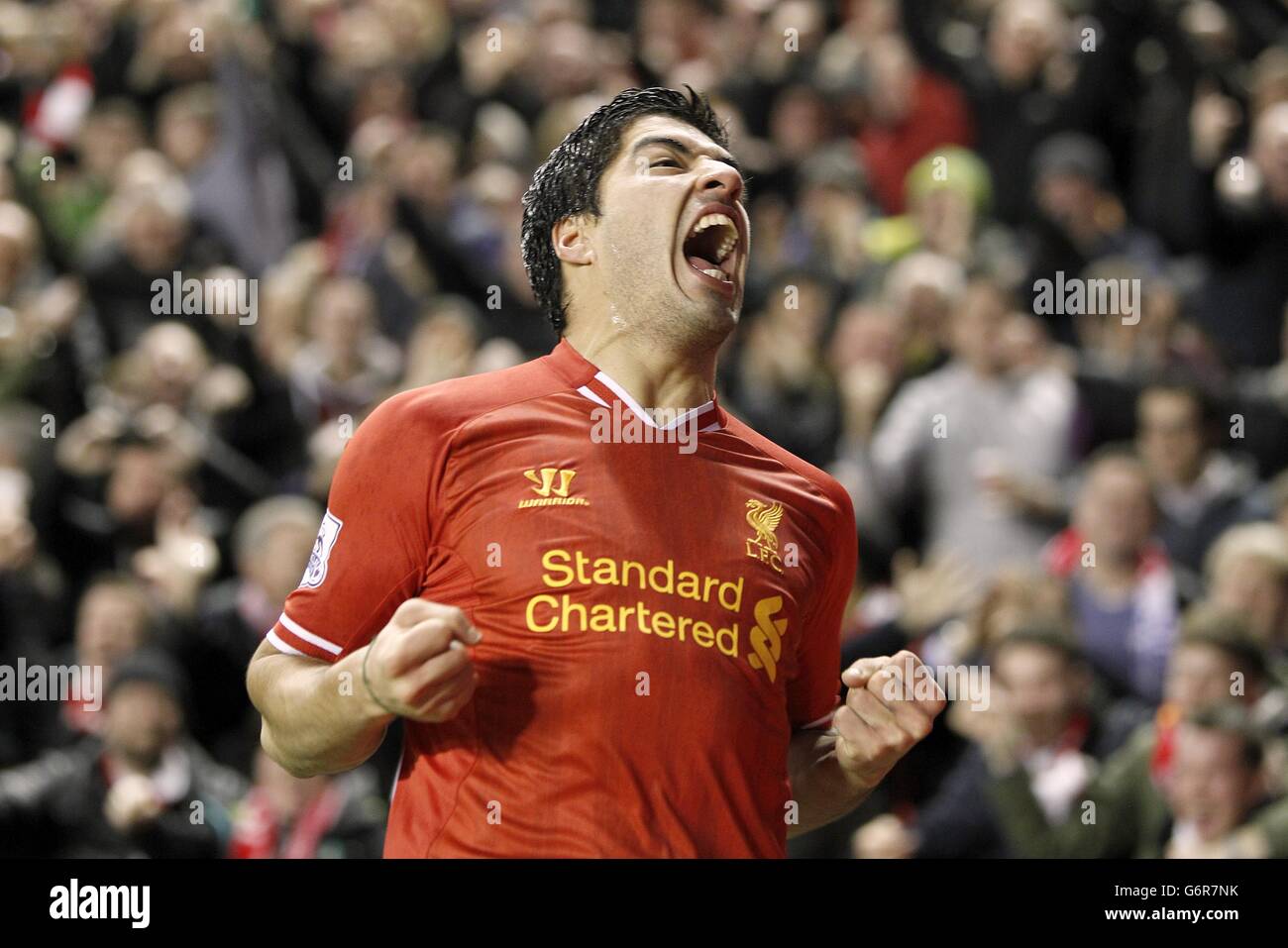 Suarez Warrior
