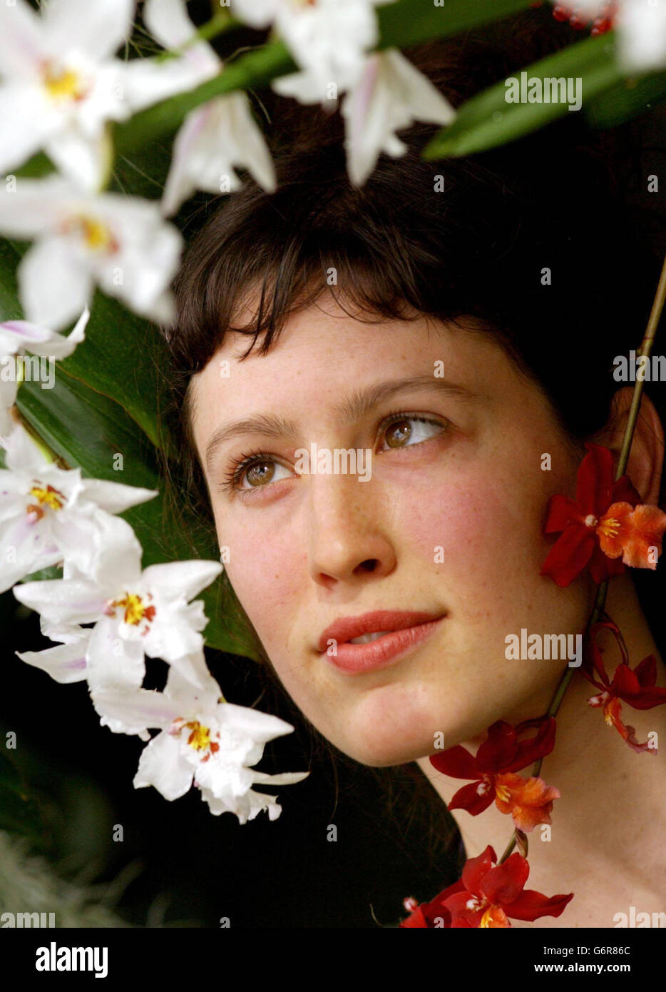 Lisa Hall amongst the orchids Stock Photo - Alamy