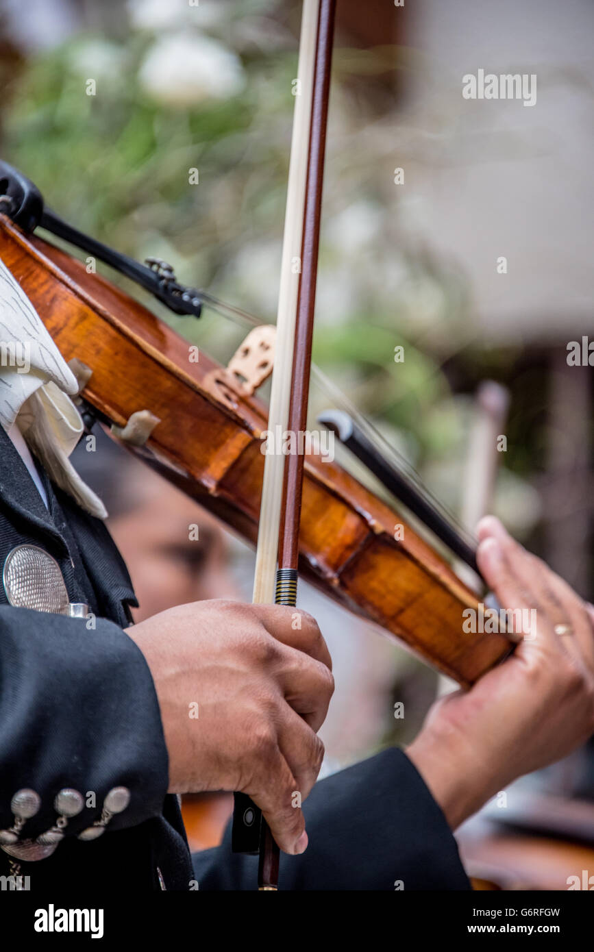 Mariachi playing a violin Stock Photo - Alamy