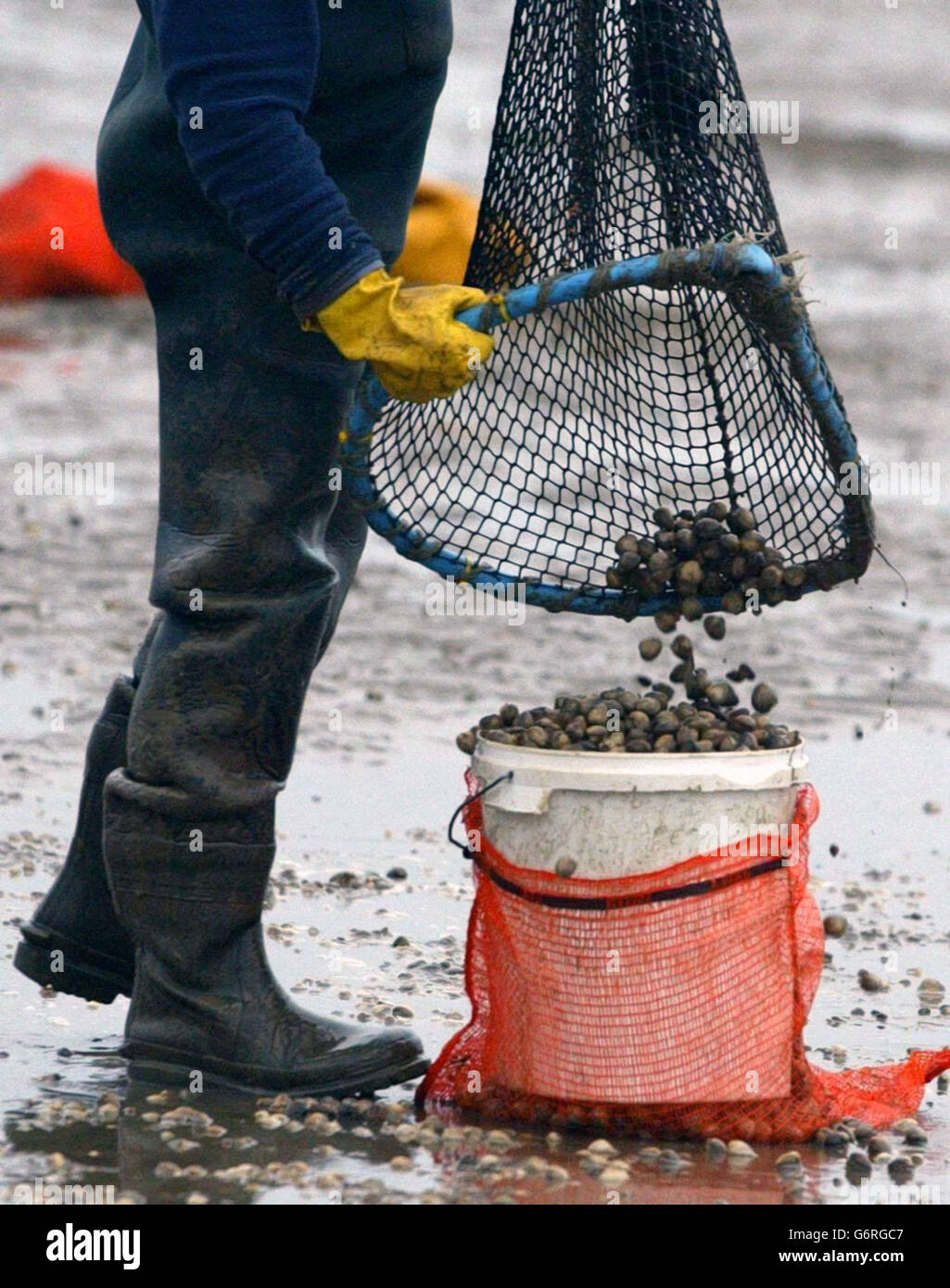 About 100 pickers hi-res stock photography and images - Alamy