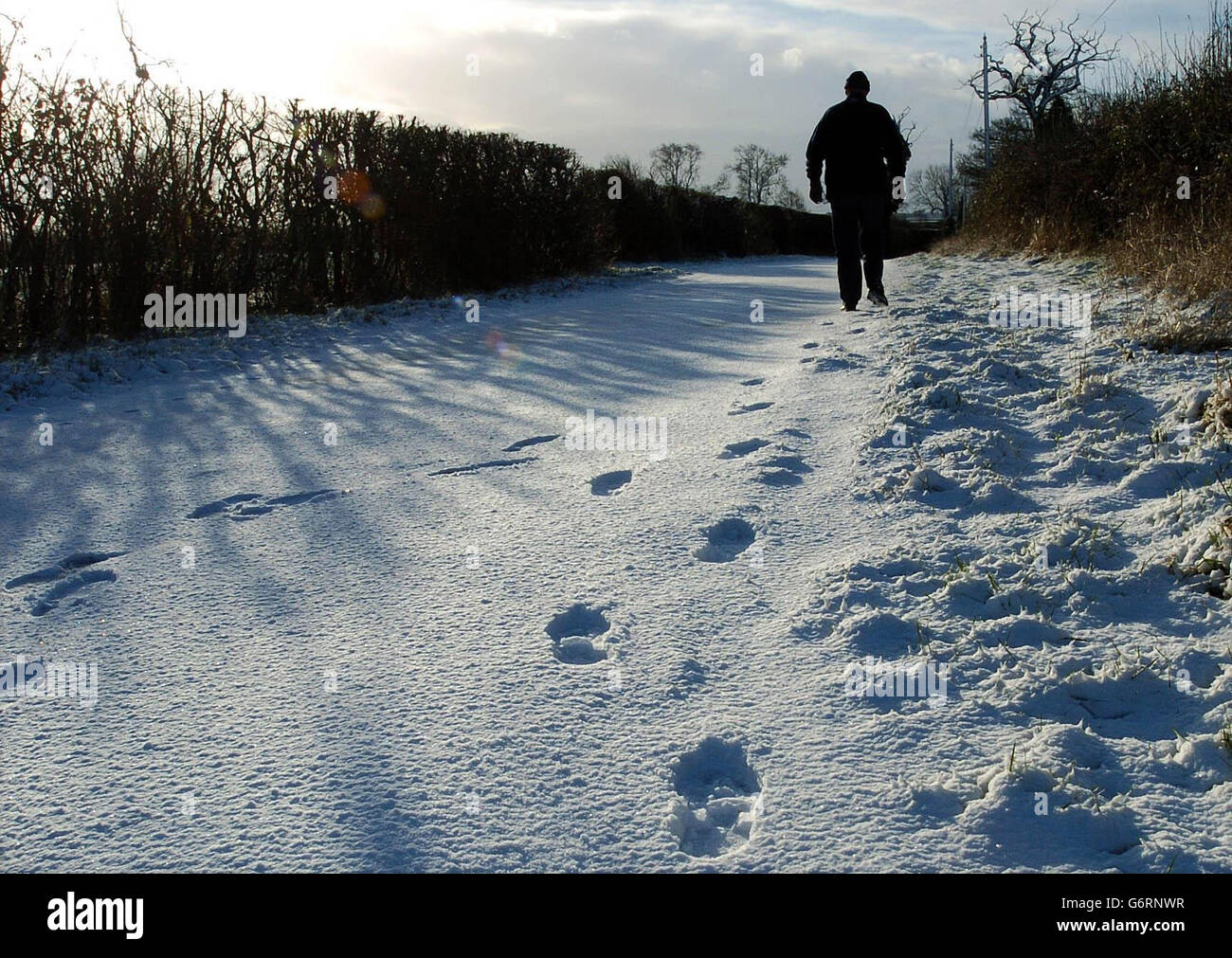 Walkers in Snow Stock Photo - Alamy