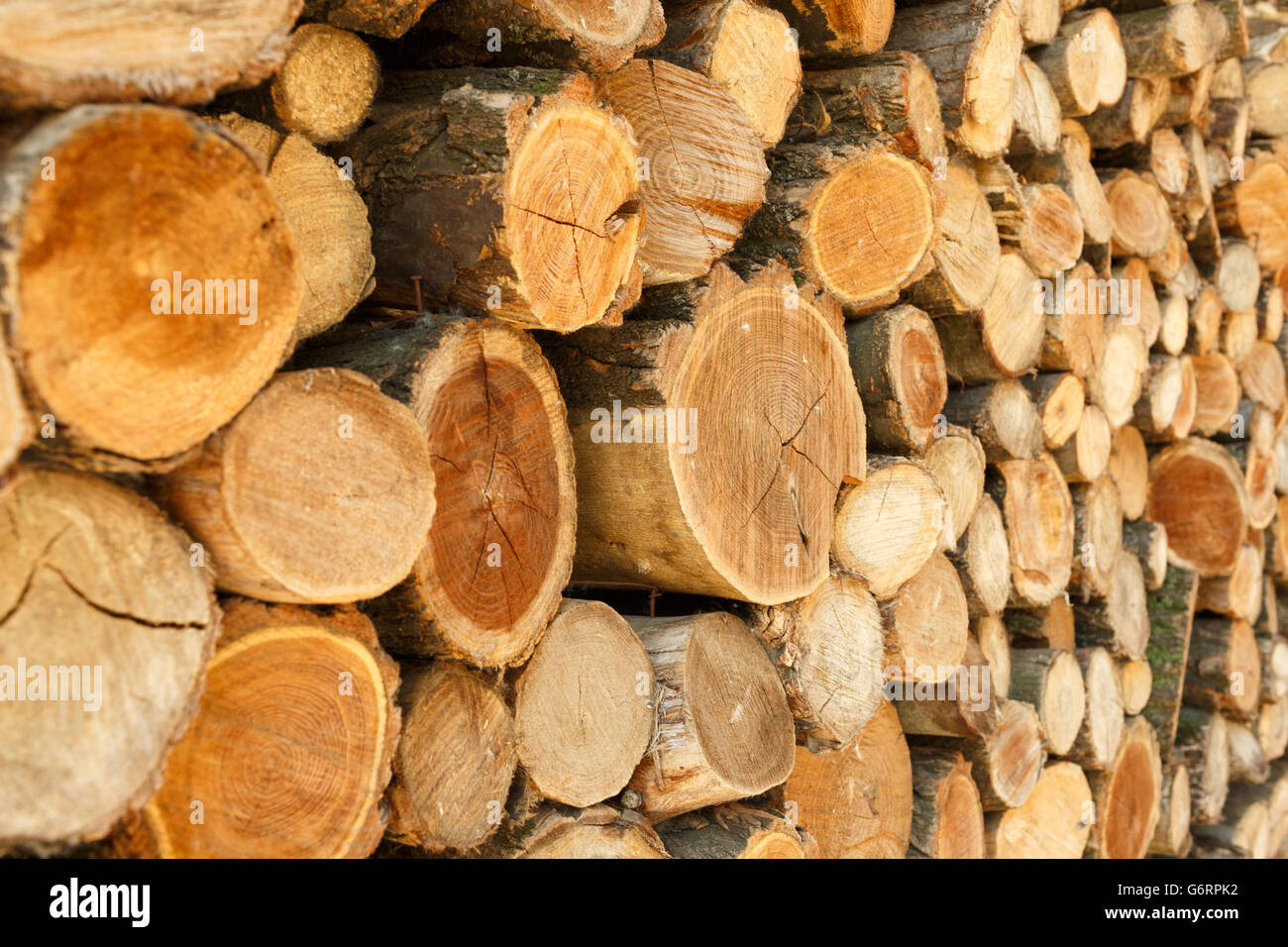Stack of wood logs, wooden abstract background Stock Photo - Alamy